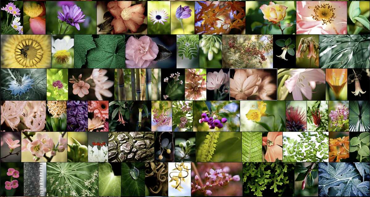 Add Photos & Videos | Lightroom Academy